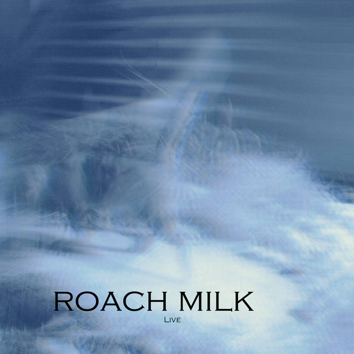 Roach Milk Live | Roach Milk