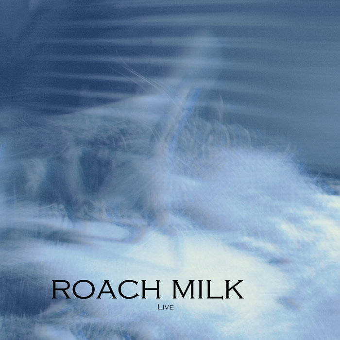 Roach Milk Live | Roach Milk
