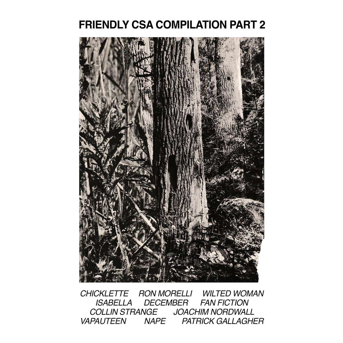FRIENDLY CSA COMPILATION PART 2 | V/A | PSYCHIC LIBERATION