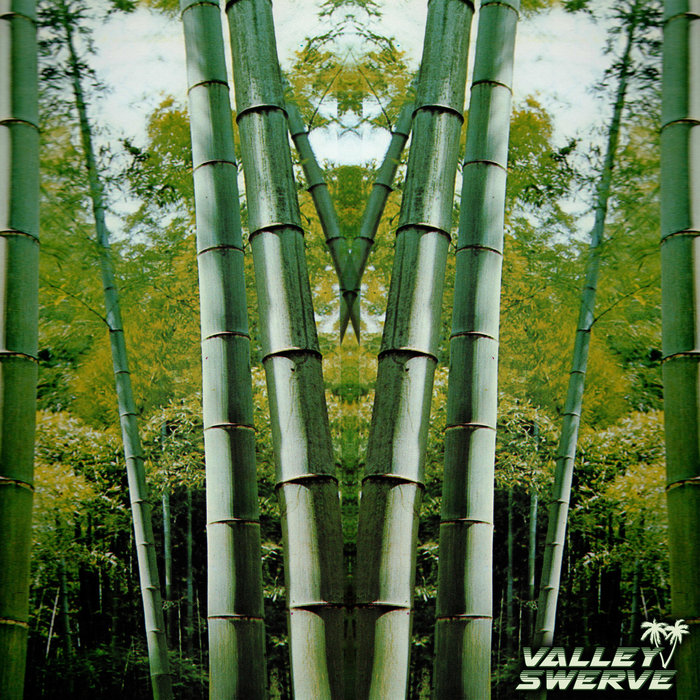 Bamboo | Valley Swerve