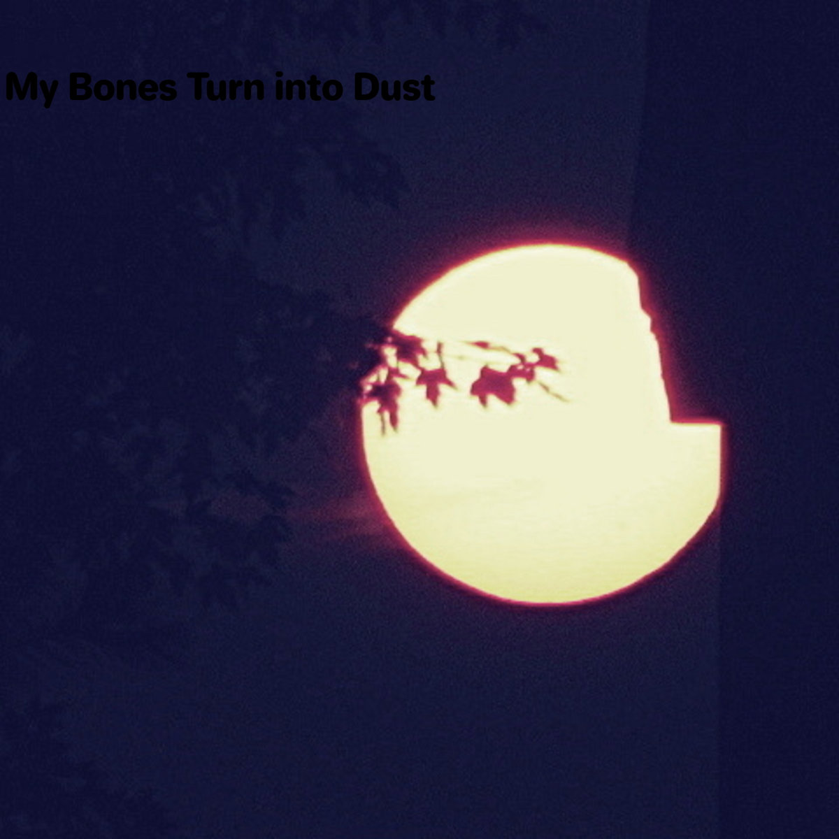 My Bones Turn into Dust | Ghost On This Earth