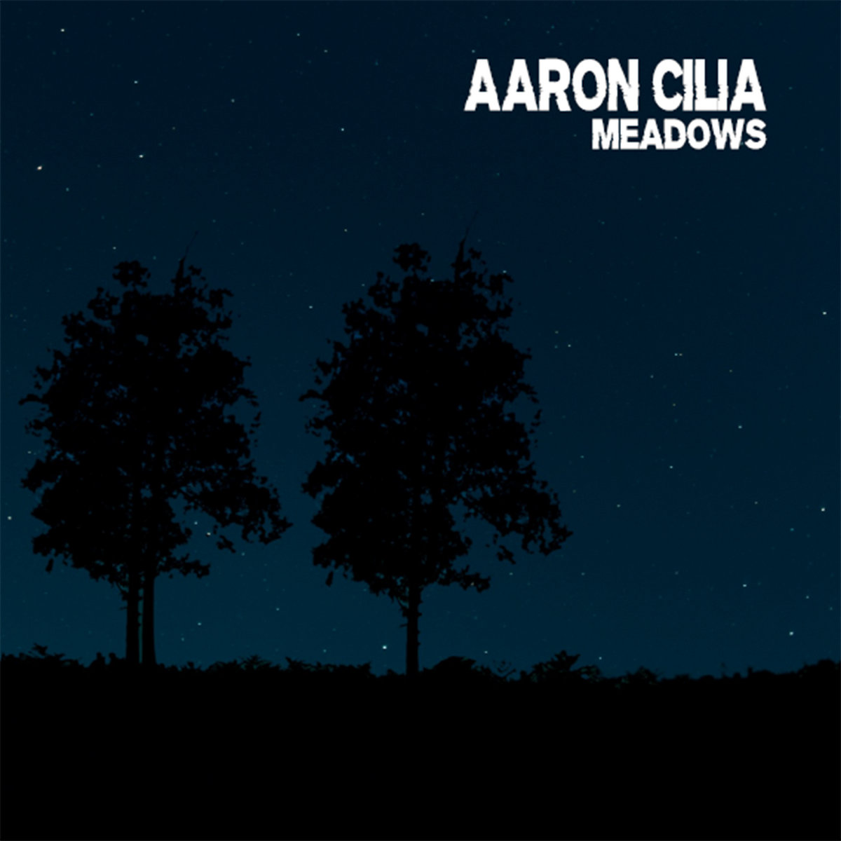 Meadows | Aaron Cilia