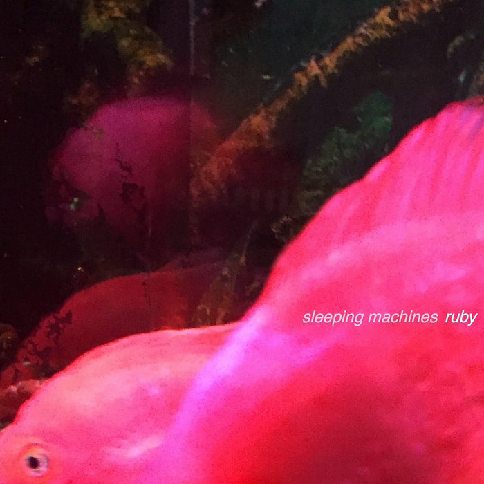 Ruby | Sleeping Machines