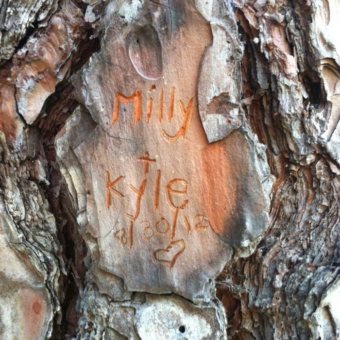 The Good in Goodbye | Milly Mercury