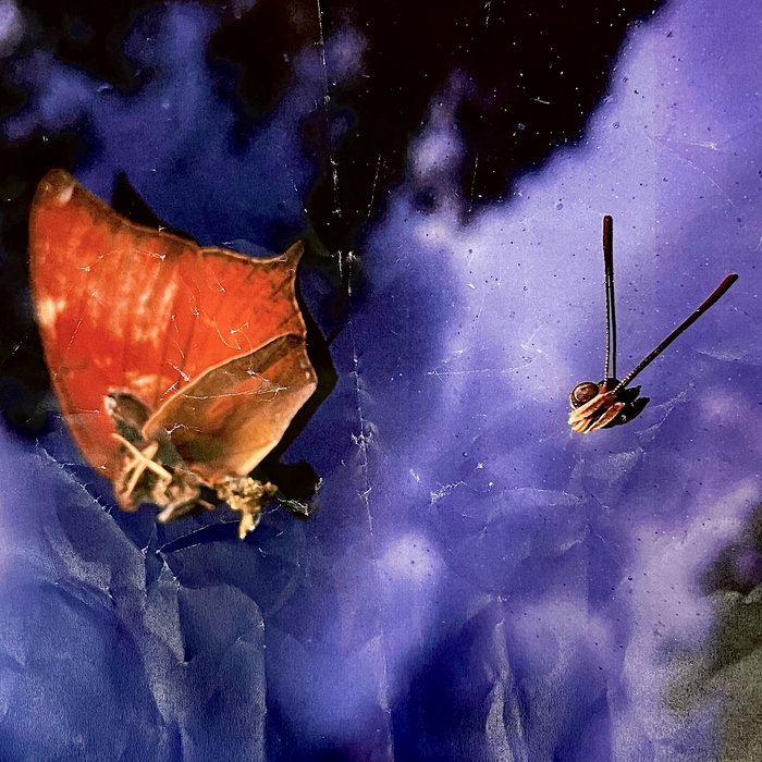 Disappointer | DISAPPOINTER