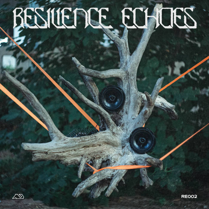 radikalism's collection | Bandcamp