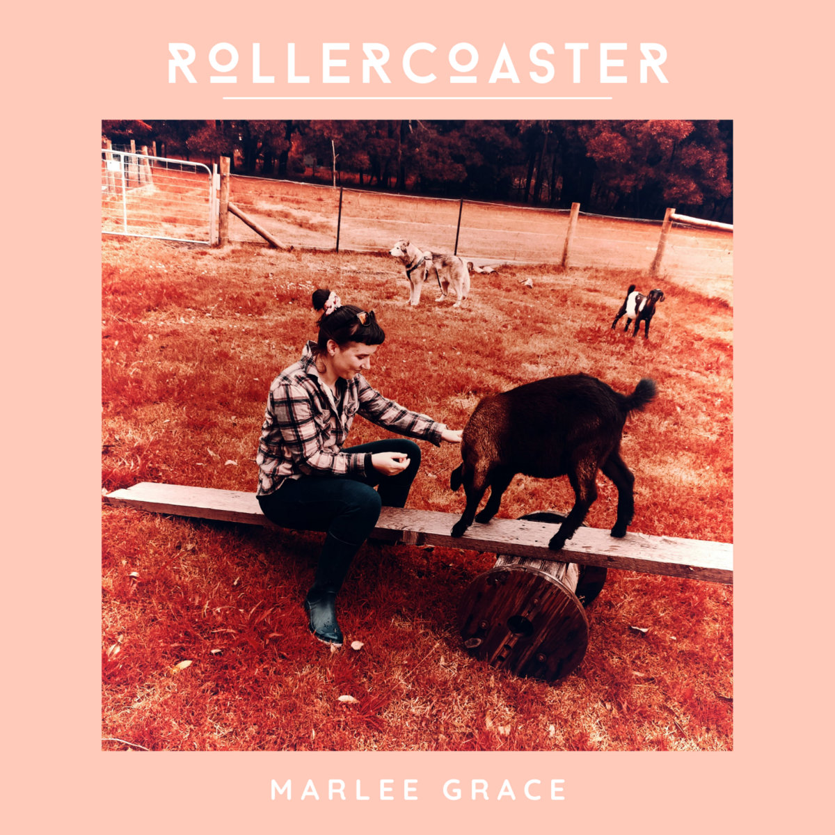 Rollercoaster | Marlee Grace