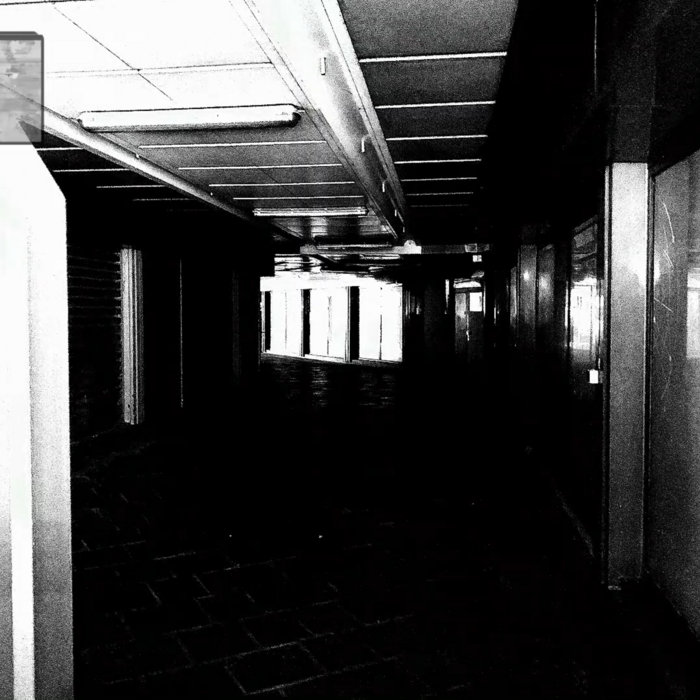 Of Darkness | Errant Static