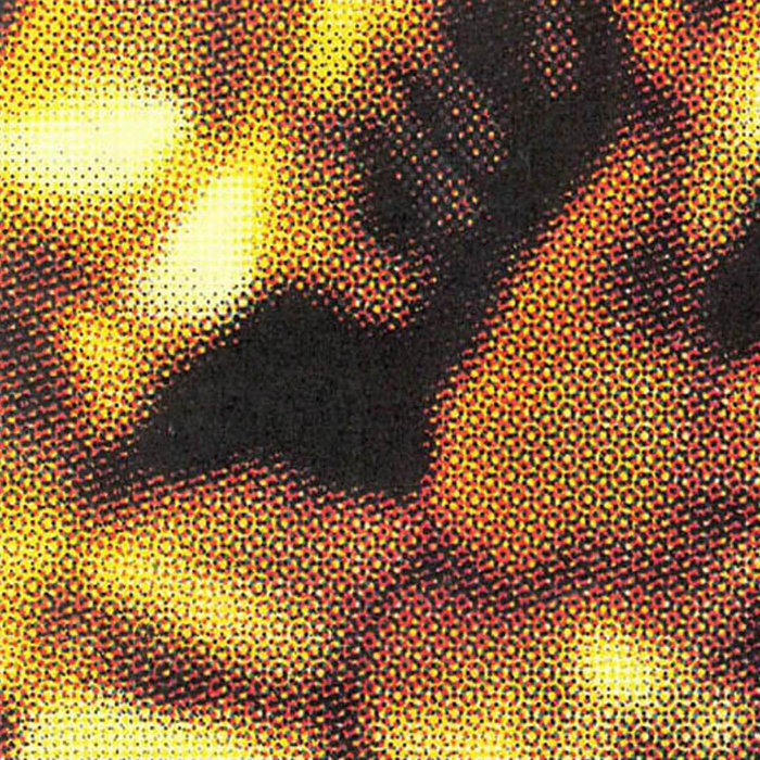 The Prevalence | Robert Turman