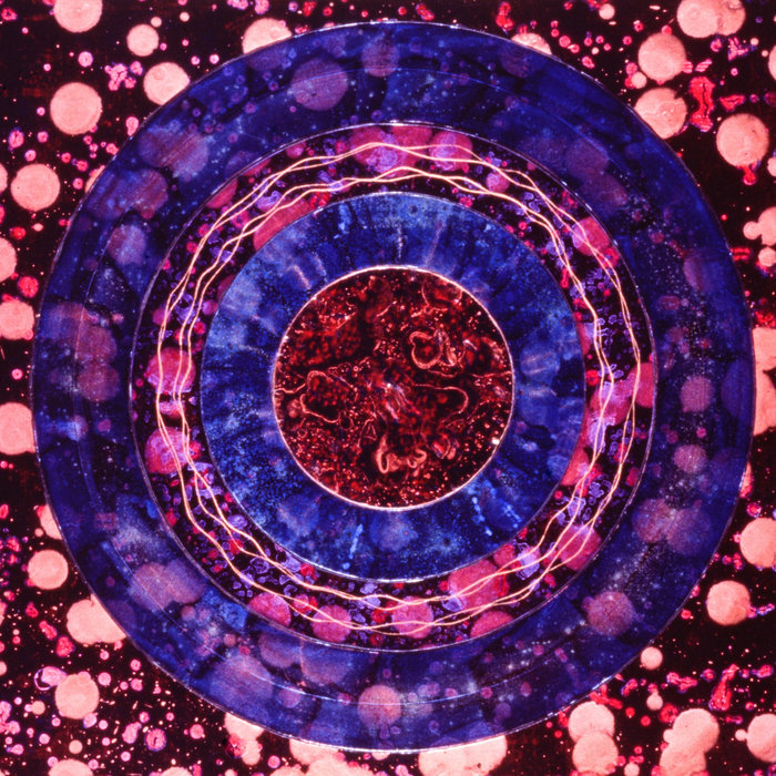 The End of Certainty | Andrew Kidd and Michael Germana | Andrew Kidd