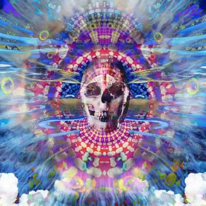 Shane Beck x James Parrott | Shane Beck, James Parrott | James Parrott