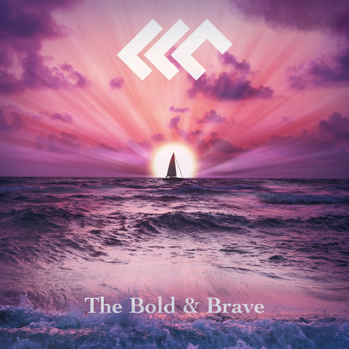 The Bold & Brave | LLC