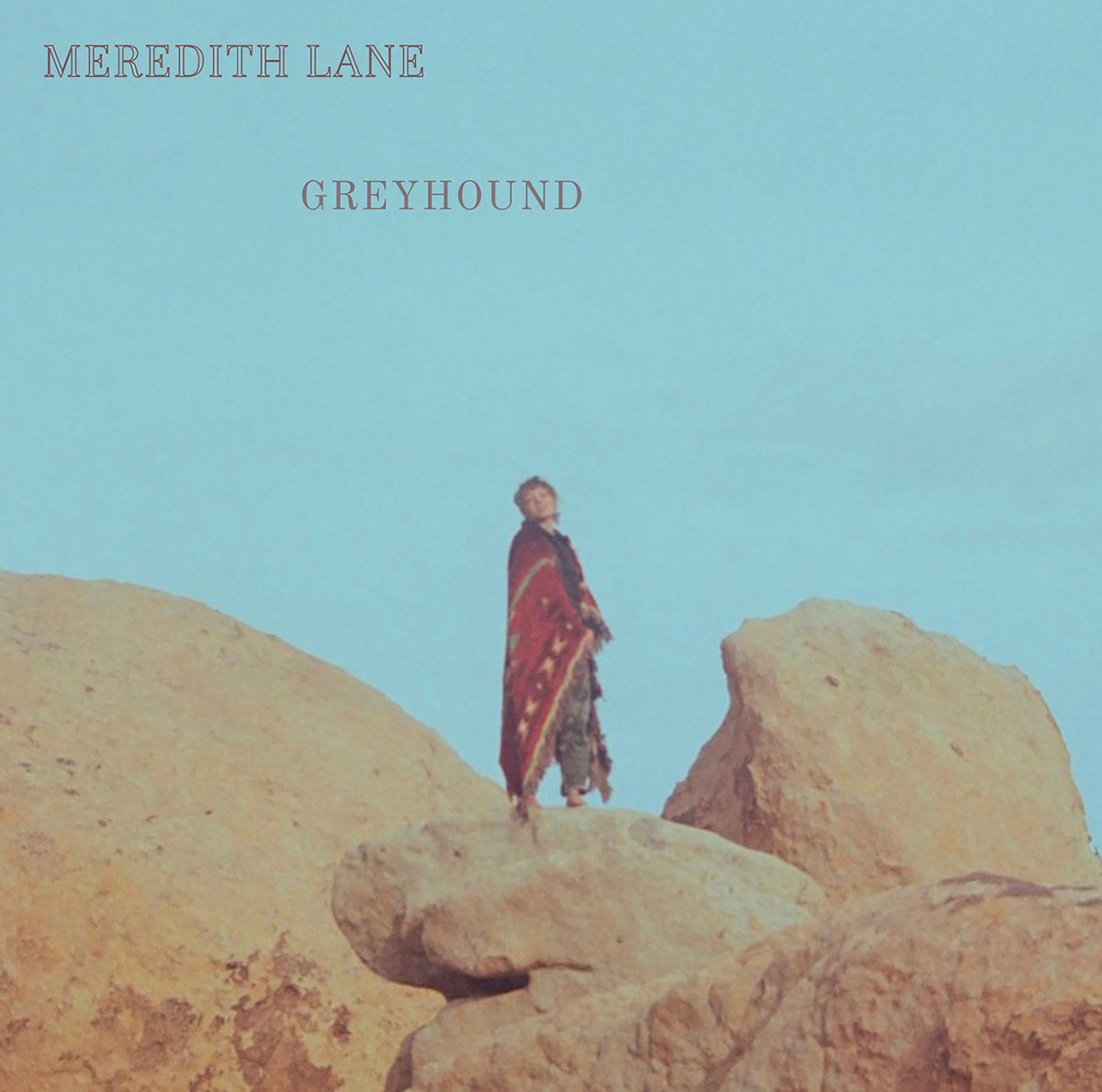 Greyhound | Meredith Lane