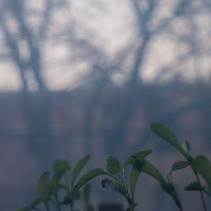 A Couple Thoughts About Things That Wont Matter In The Long Run | Mike ...