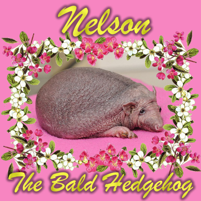Ode to Nelson (for Sonya Meesh) | STEREOMAGE