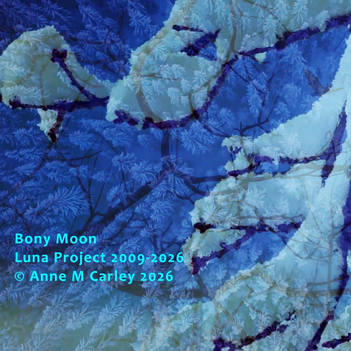 Bony Moon (#2 from Luna Project) | Anne Carley Music