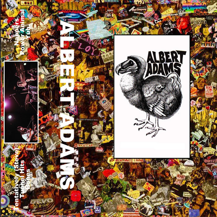 ALBERT ADAMS | Albert Adams