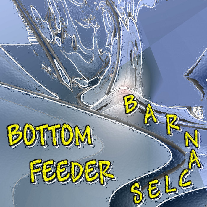 Barnacles | Bottom Feeder