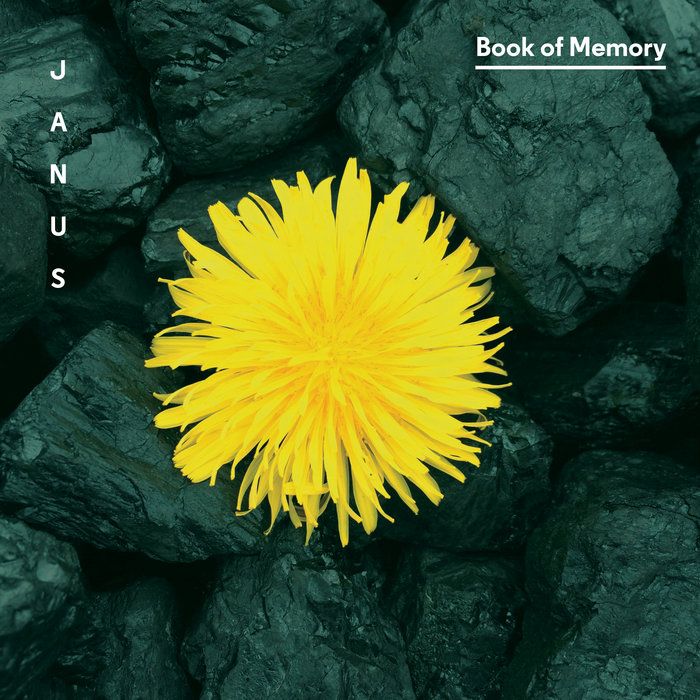 Book of Memory | janus trio | New Focus Recordings