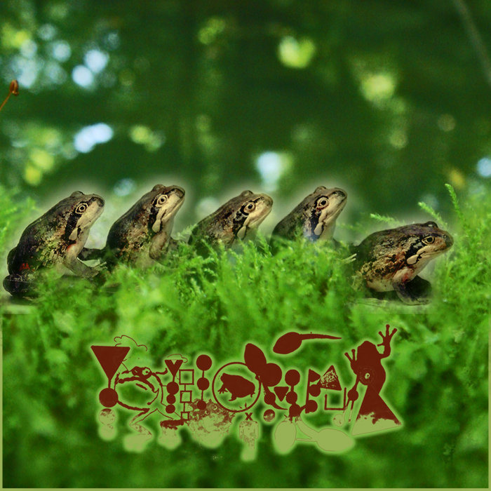 Pobblebonk In A Crick | Phyllomedusa