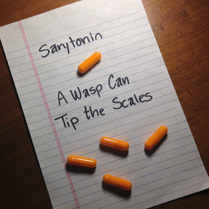 A Wasp Can Tip the Scales | Murphy Alive