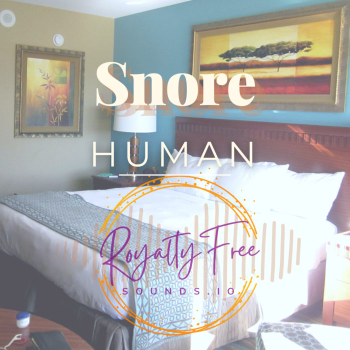 Human - Snore | Royalty Free Sounds
