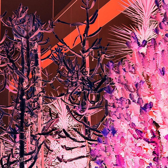 Zippered Time, Winged Dialogue | David Birchall, Kate Carr and Tullis ...