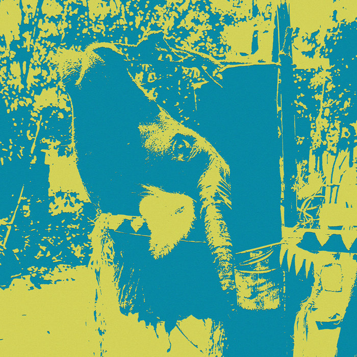 Gongs of the Bahnar: A Buffalo Sacrifice Ceremony | Vincenzo Della ...