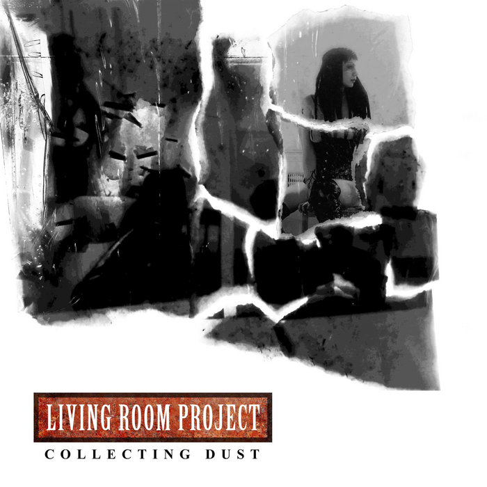 Collecting Dust | Living Room Project