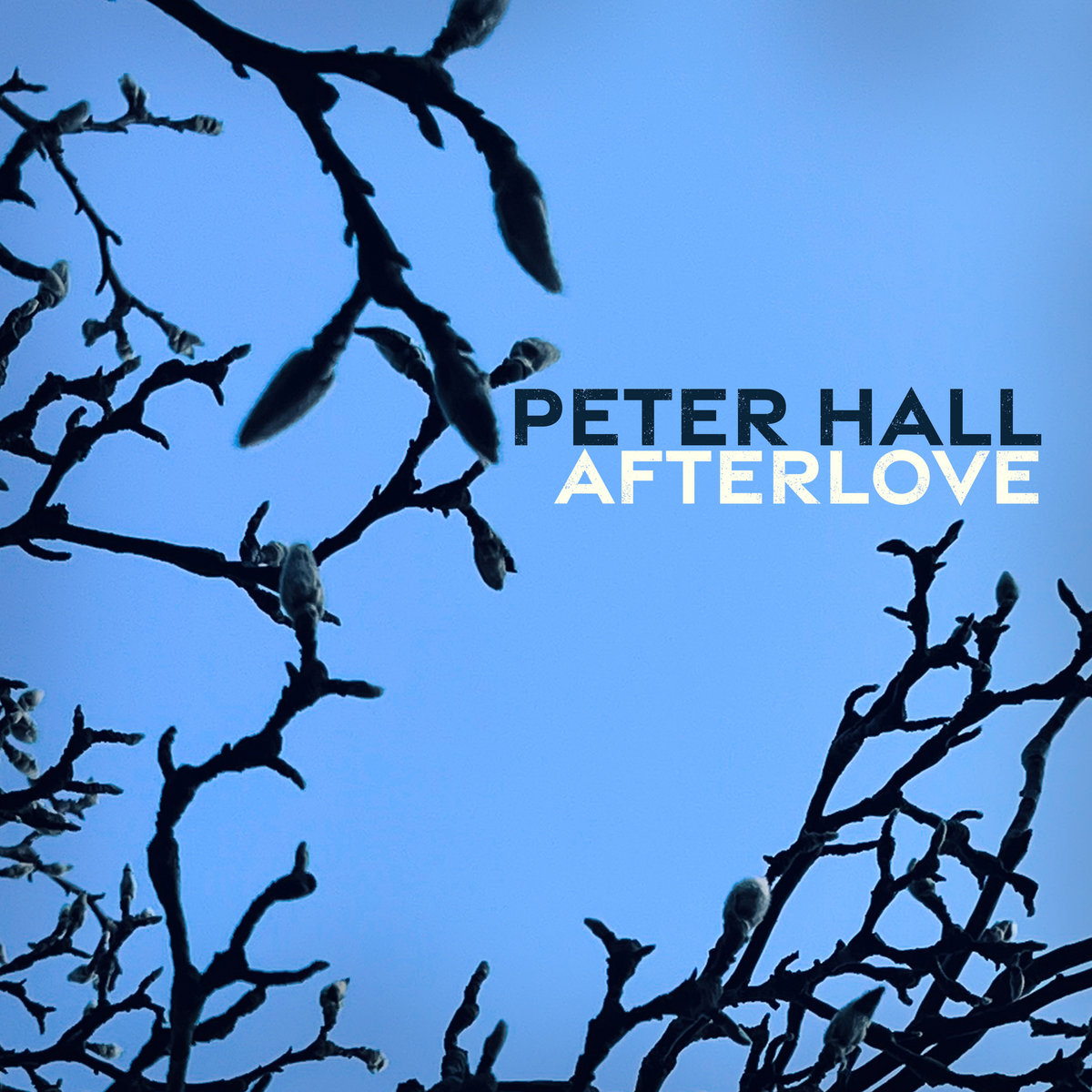 Nova Scotia | Peter Hall