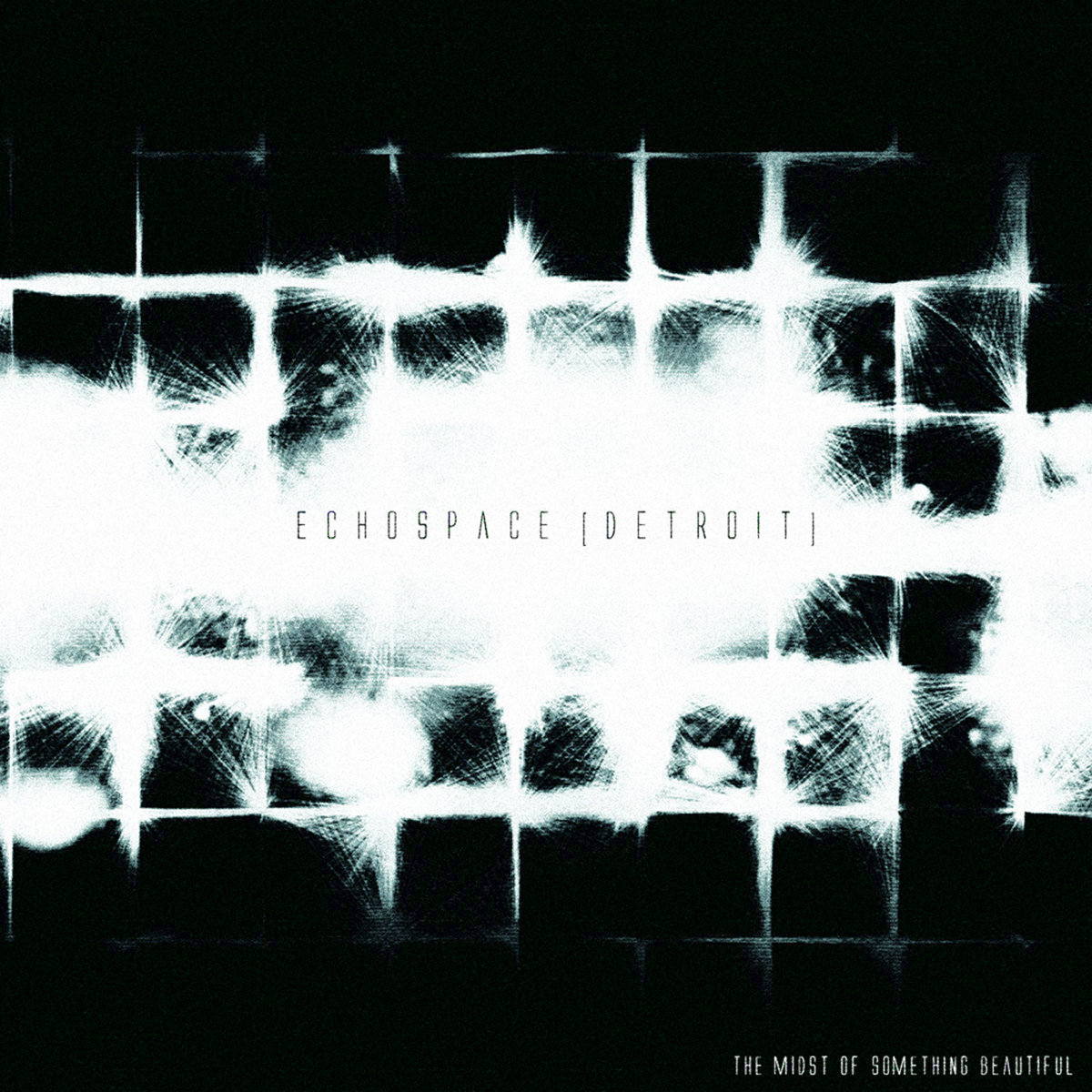 the midst of something beautiful | various | echospace313