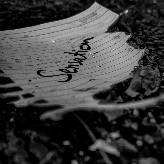 Sensation | Anshul Kumar