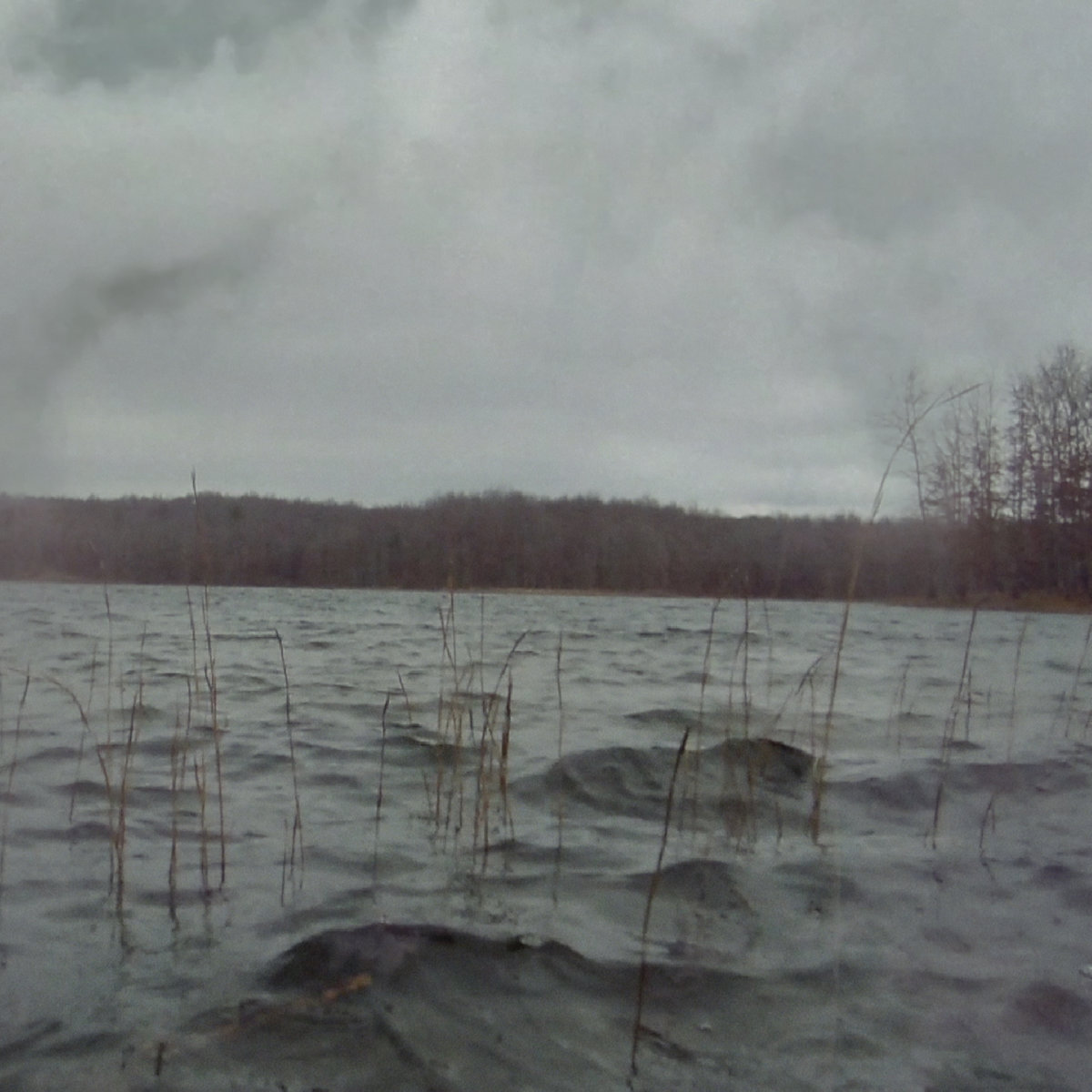 2017 | German Error Message