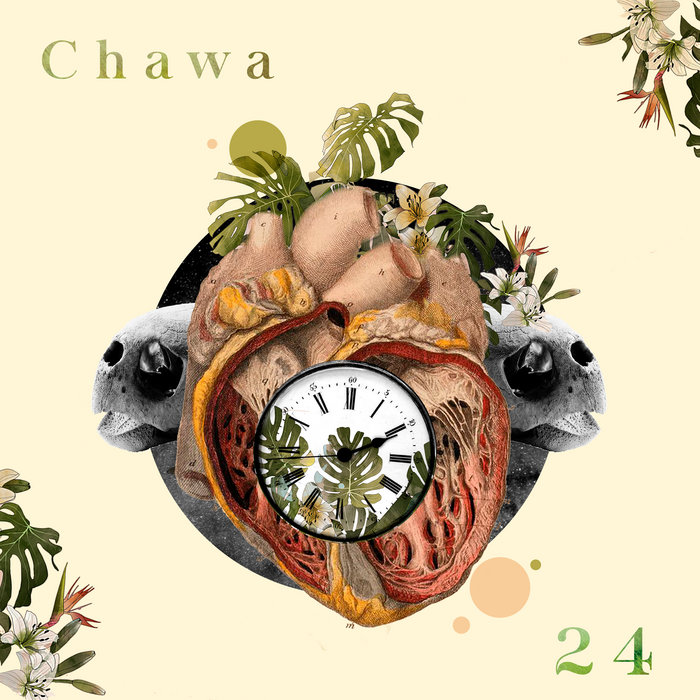24 | Chawa
