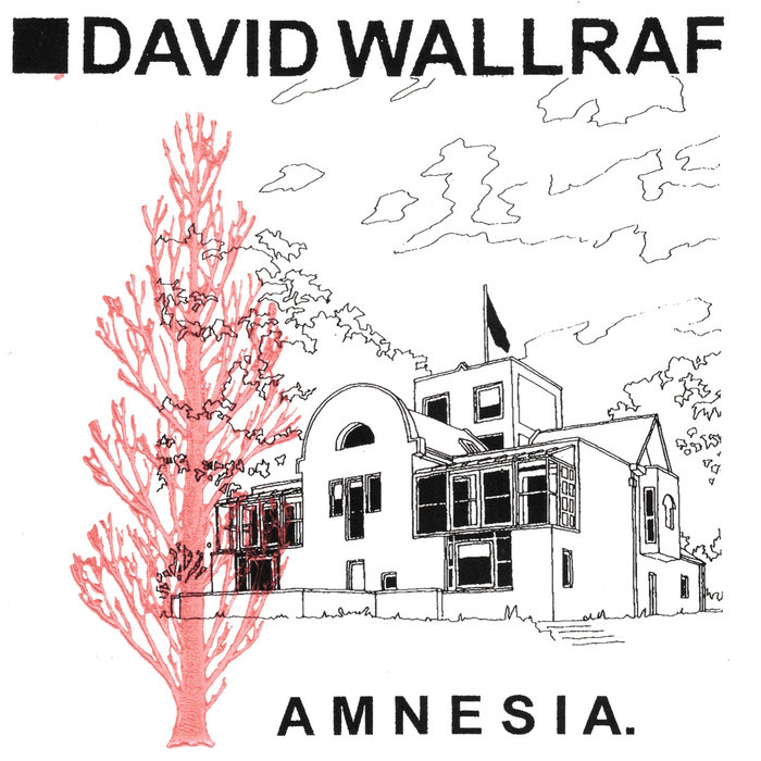 Amnesia. | david wallraf