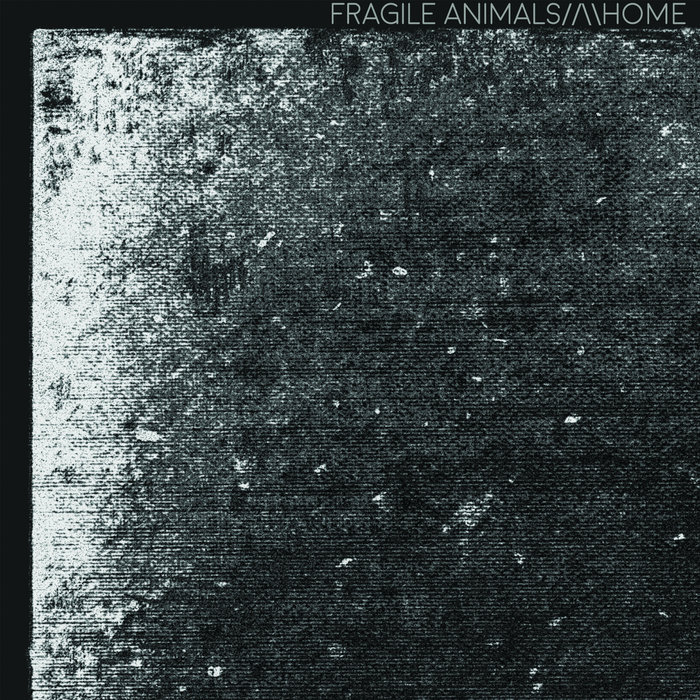 Home | Fragile Animals