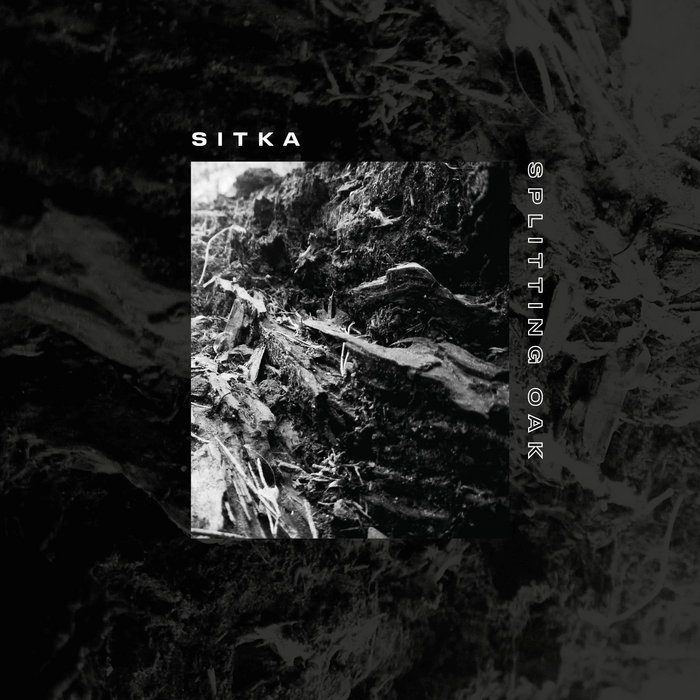 Splitting Oak | SITKA