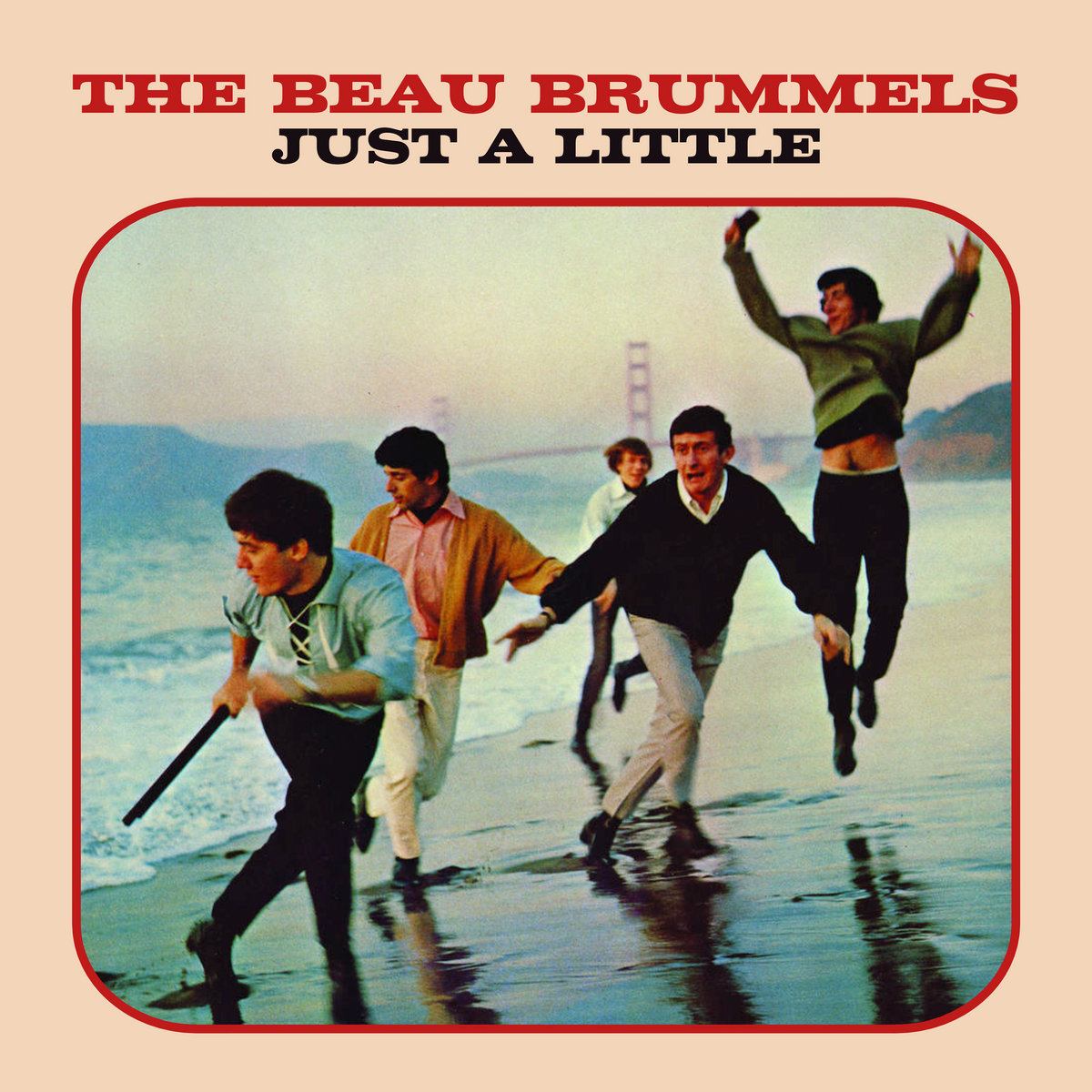 Just a Little | The Beau Brummels