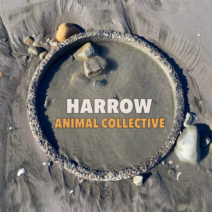 Animal Collective | David Harrow