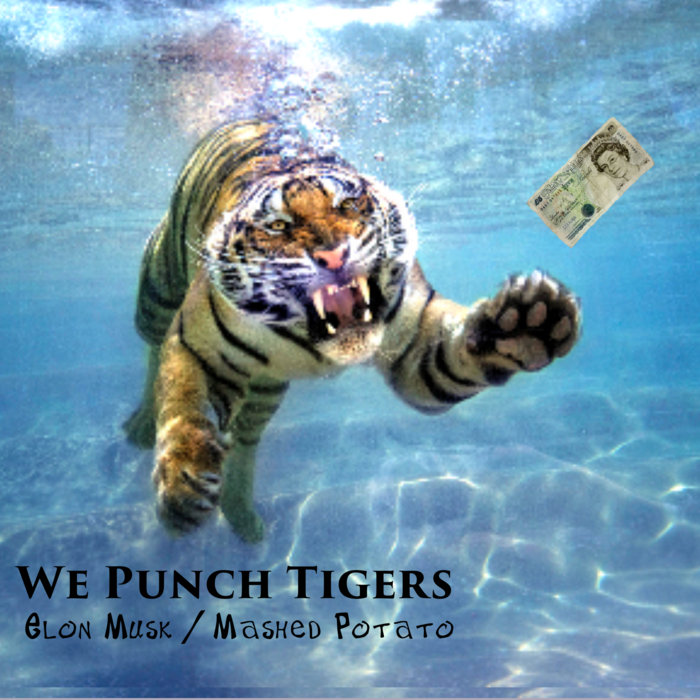 Elon Musk/ Mashed Potato | We Punch Tigers