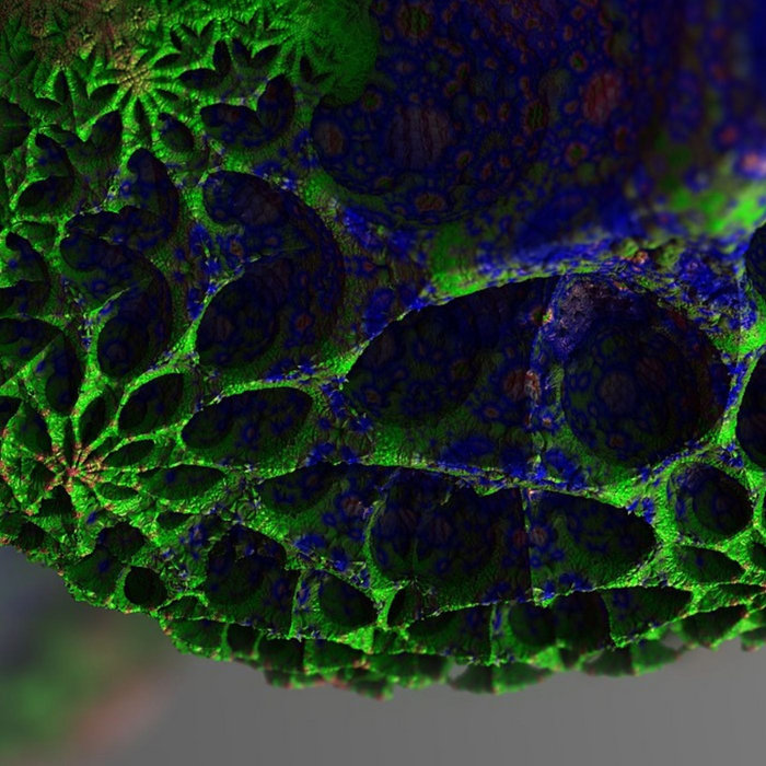 hmm:k - Diversity | Diffuse Reality Records