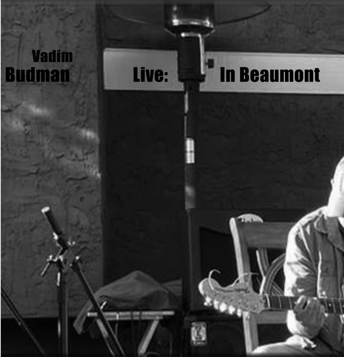 Live In Beaumont (exerpts from the Blue House Festival) | Vadim Budman