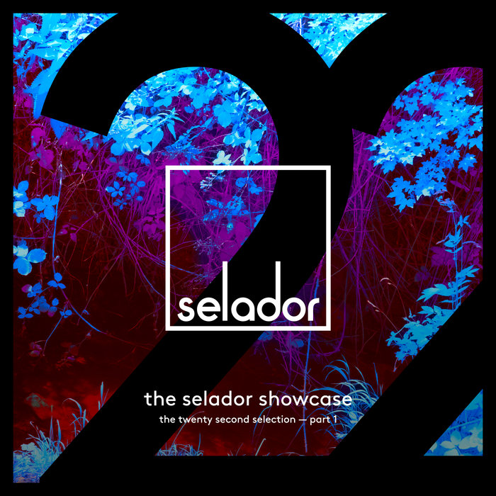 Selador Showcase 22 (Pt. 1) feat. Kelsey Valentine, Nick Varon & Deekay ...
