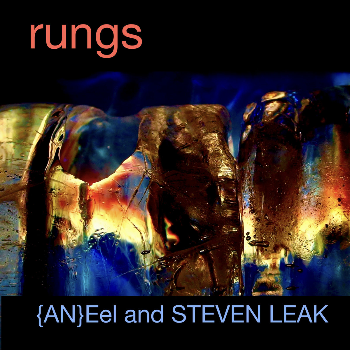 rungs | steven leak