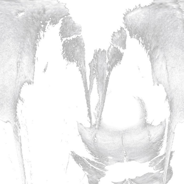 se.5 (Splits - with JeFF & H.Aro) | Sobria Ebrietas