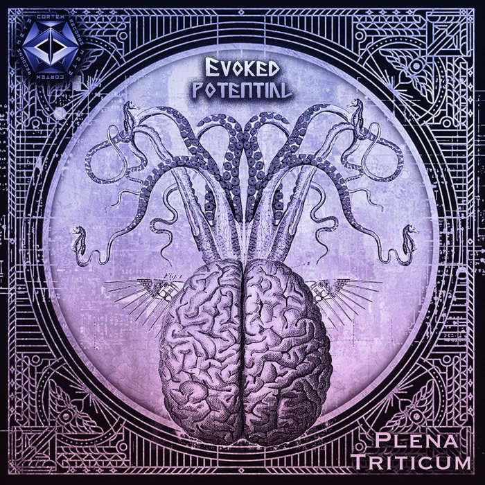 EP - EVOKED POTENTIALS | Plena Triticum | Metacortex Records