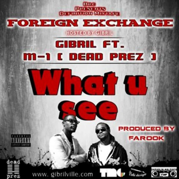 Gibril Ft. M1 ( Dead Prez ) - What U See (Produced By Branko Srnec ...