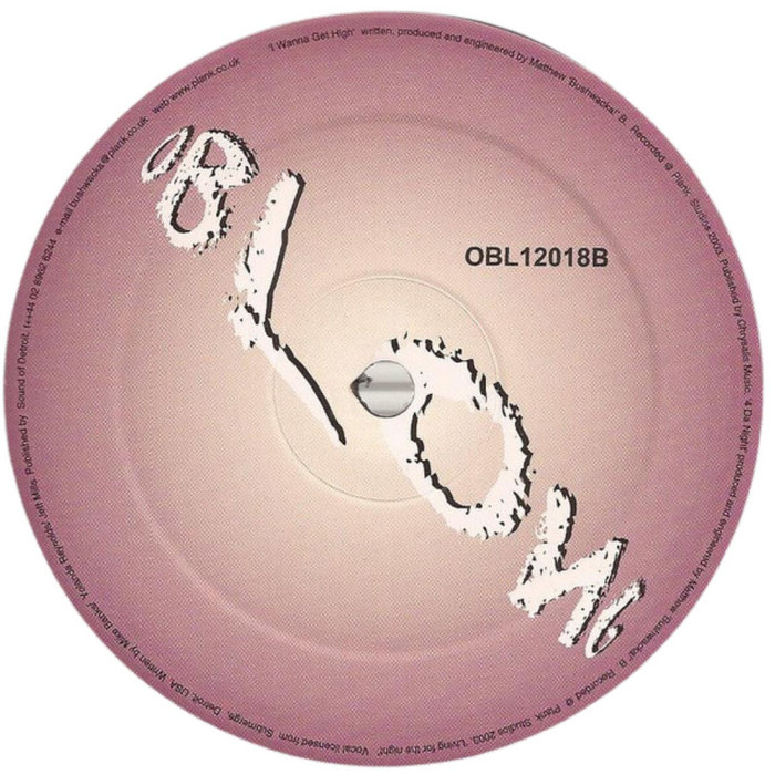 I Wanna Get High | Bushwacka!