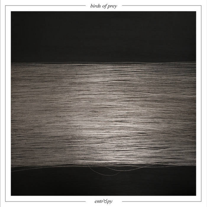 Entropy | Birds of Prey | Camille Altay