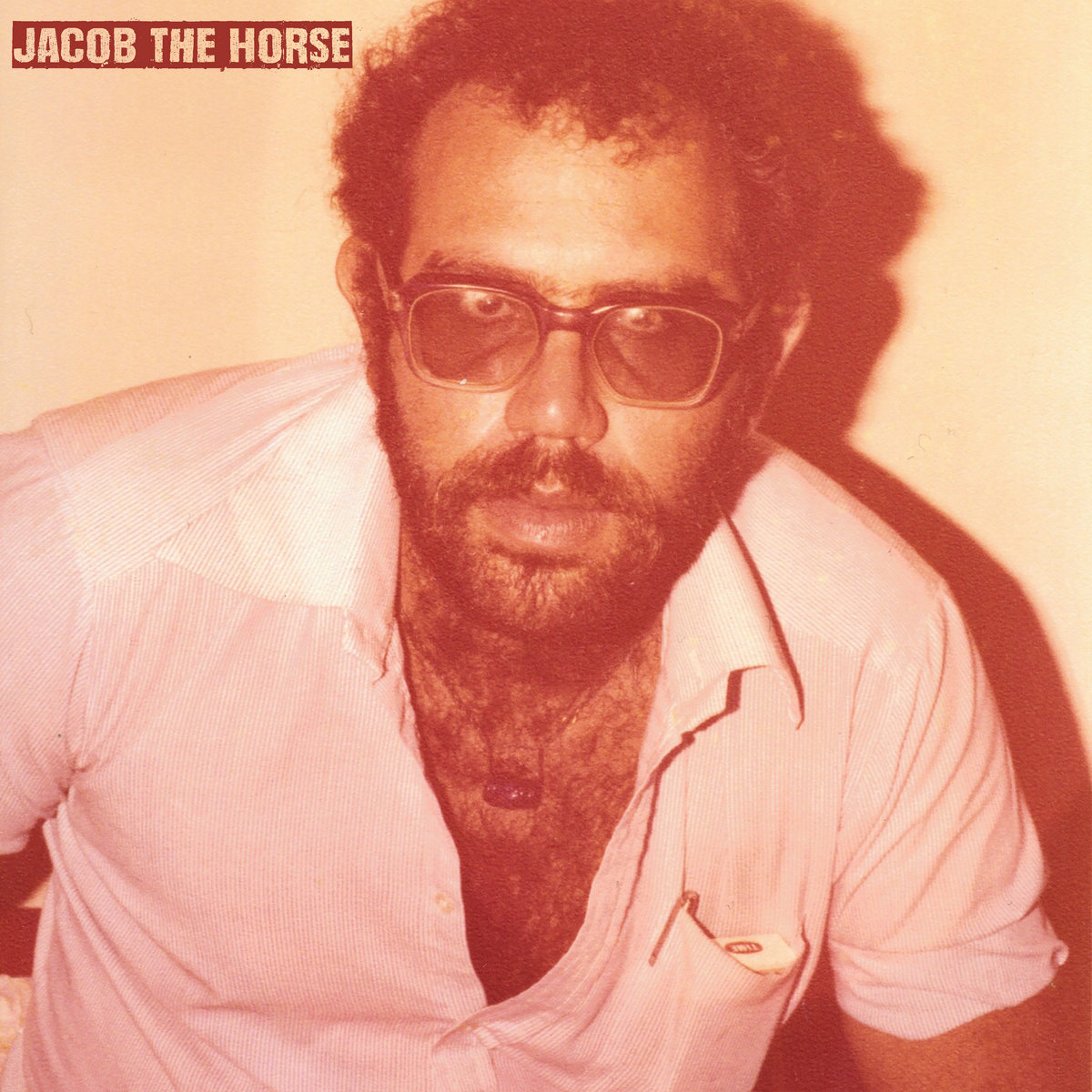 Jacob the Horse | Jacob The Horse